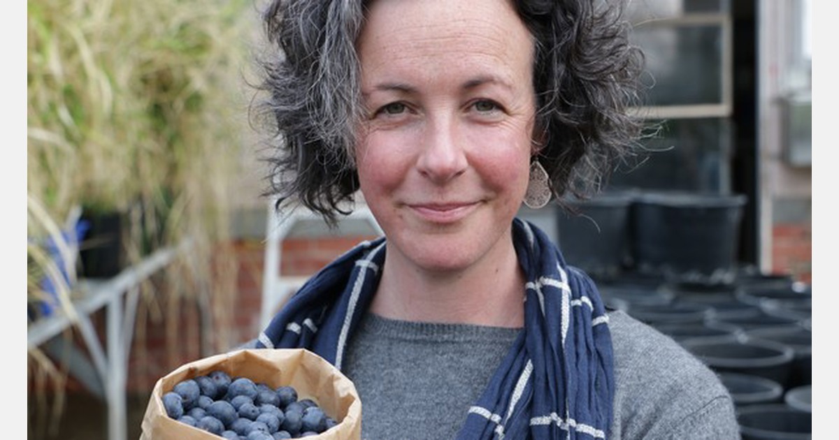Protecting Tasmania’s organic farms against blueberry rust