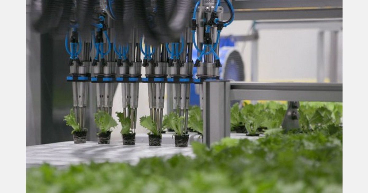 Video: The first fully automated farms