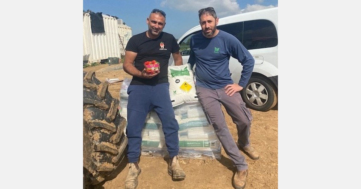 The world's largest strawberry