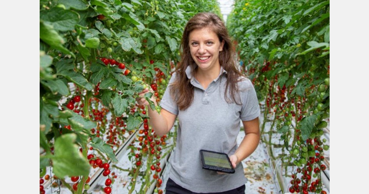 Rijk Zwaan autonomous growing trial delivers confidence