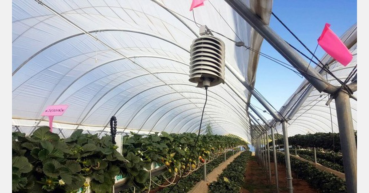 Coordinating cultivation processes across multiple locations