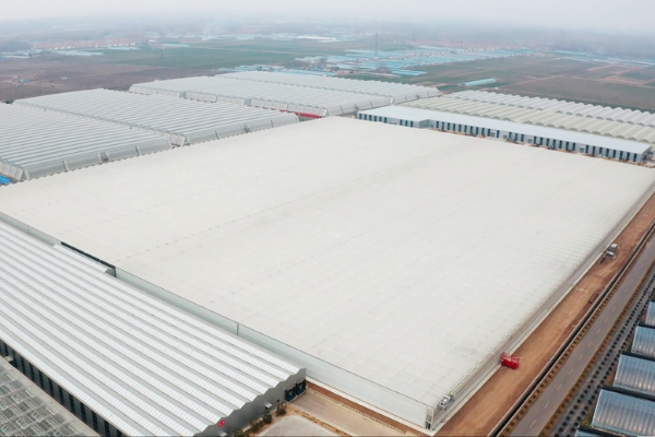 New world-record for semi-closed greenhouse building?