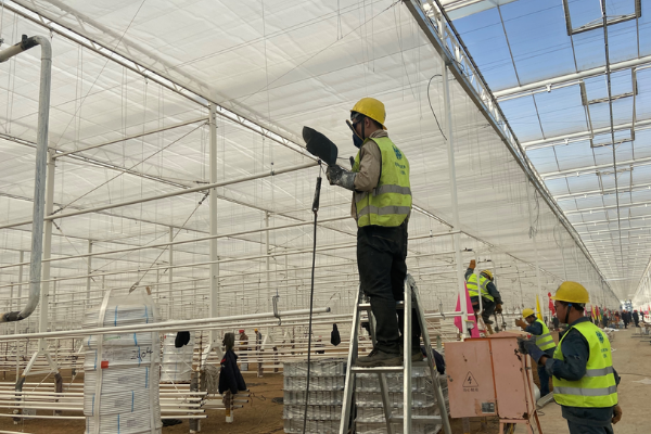 New world-record for semi-closed greenhouse building?