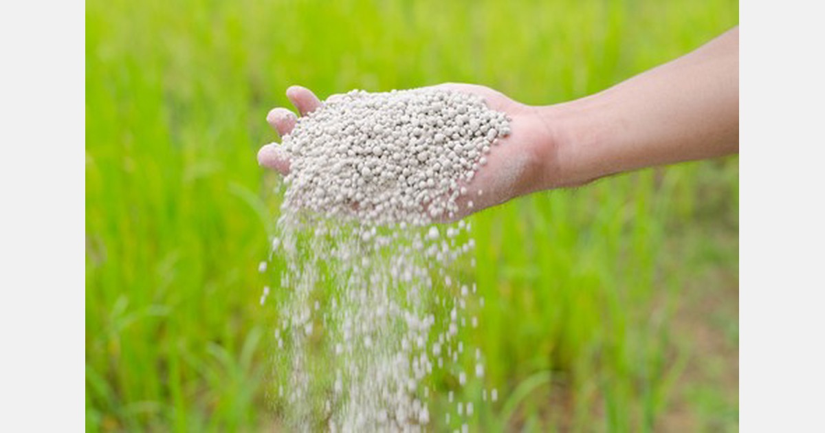 BASF to shut down fertilizer production at Ludwigshafen