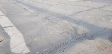 Solarization with biodegradable film