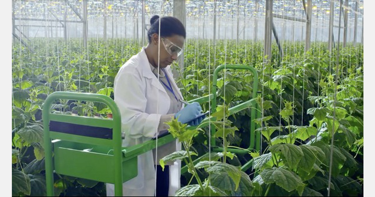 Crop scouting app for faster data collection