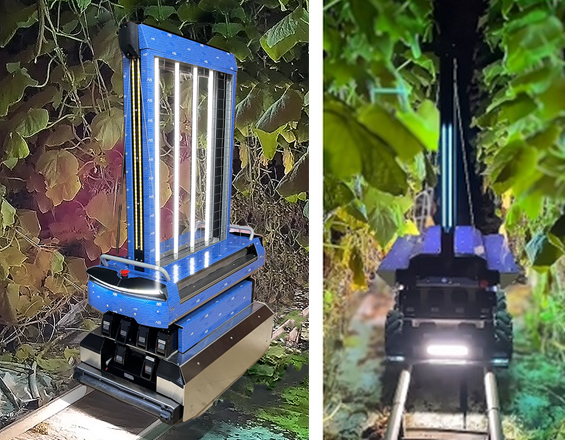 Autonomous UV-C robotic technology coming to market for powdery mildew ...