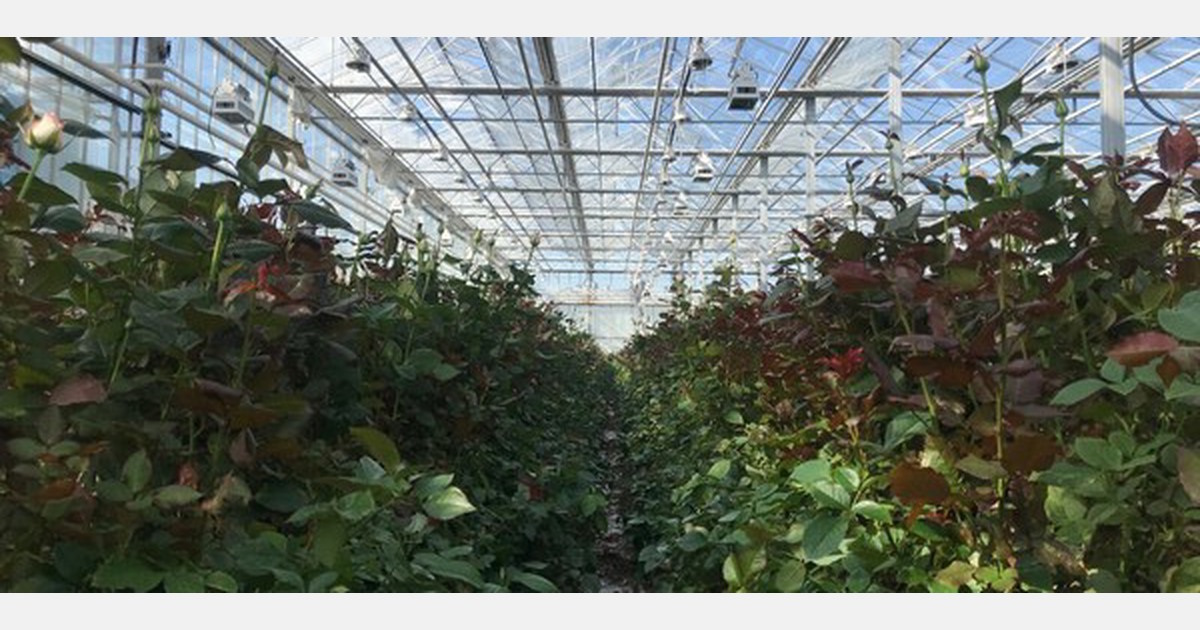 Midstream Lighting to acquire Hyperion Grow Lights