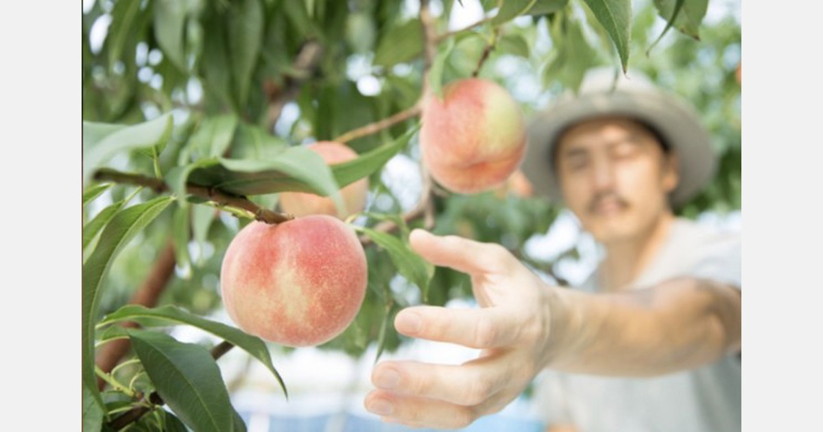 Shelf life extension solution adds 18 new crops