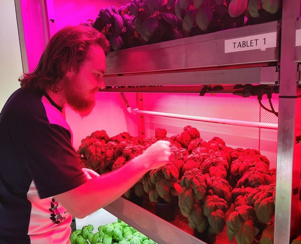 Fluence and HAS University partner to explore dynamic lighting strategies