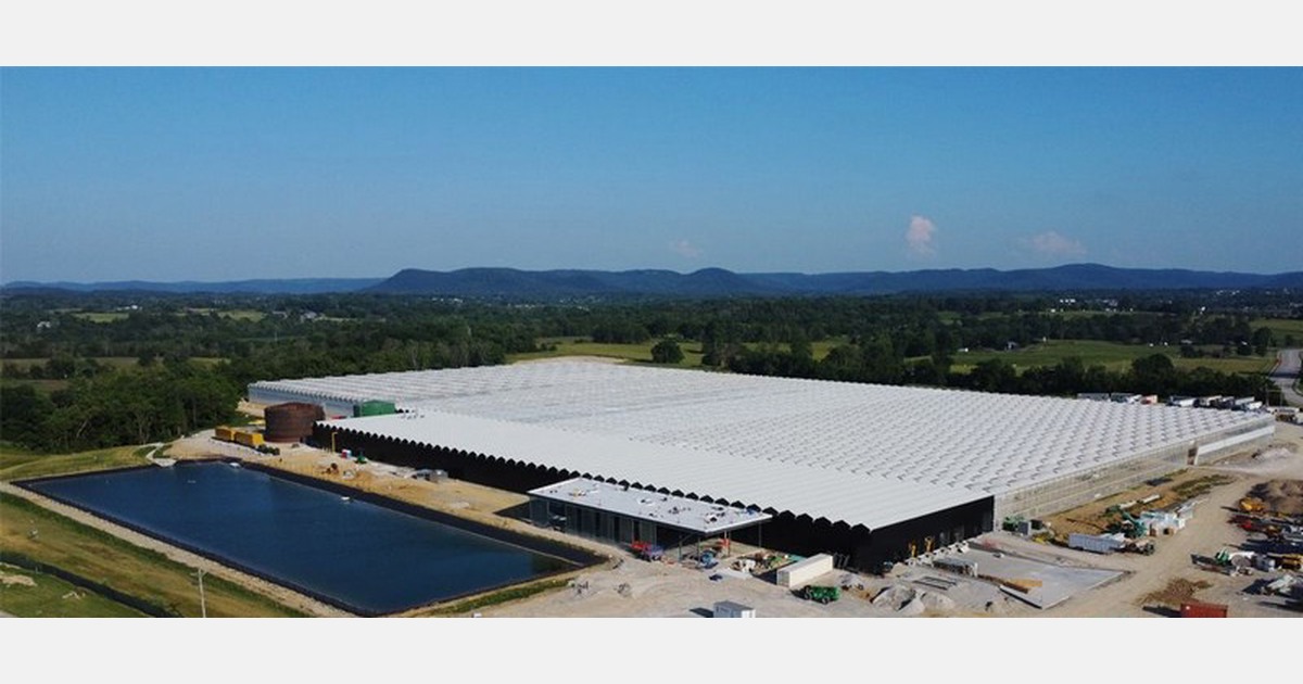 "New farms start operating by the end of the year"