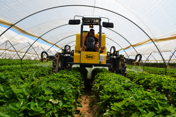 New sprayer for strawberries and low-growing crops