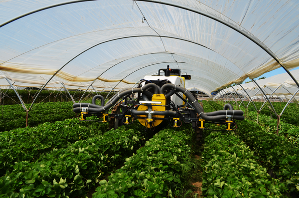 New sprayer for strawberries and low-growing crops