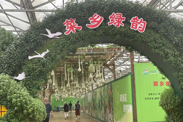 Shouguang, Shandong: the capital of vegetables in China