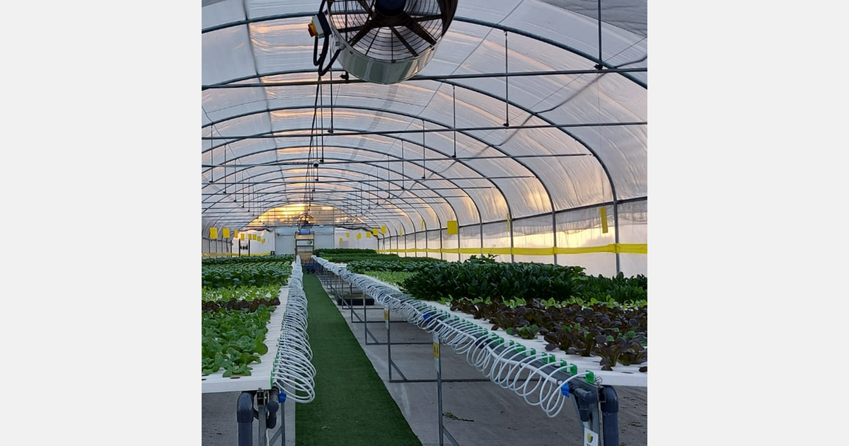 "A generational change is going on in Italy's horti sector"