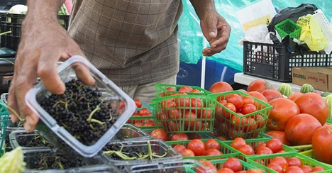 New tool helps strengthen local food systems