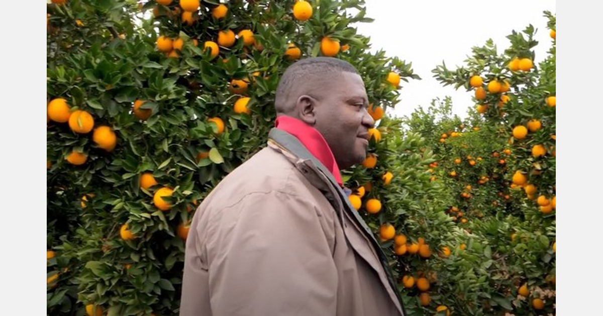 Hydroponics & citrus farming