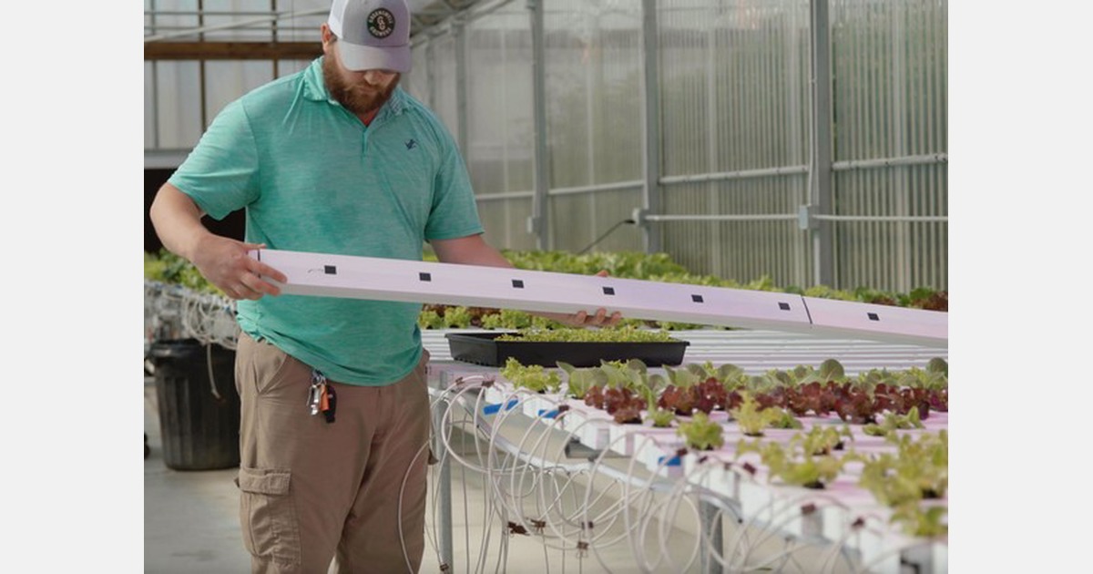 Comparing the 2 and 3 Stage NFT growing system