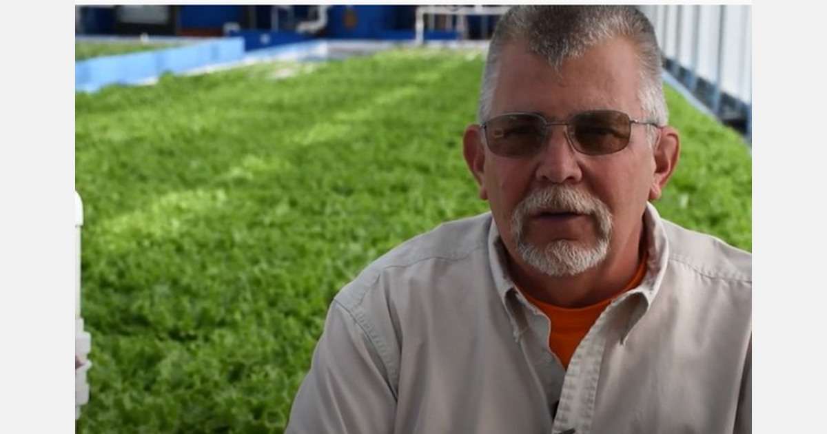 Inside an aquaponic greenhouse