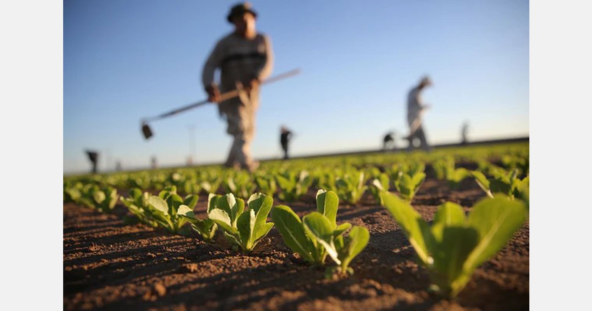 Why do soil-based farms incorporate indoor farming into their ...