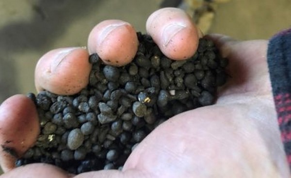 The power of compost: boosting production with composted biowaste