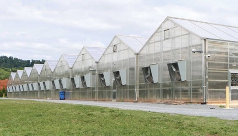 The most important benefits of a greenhouse
