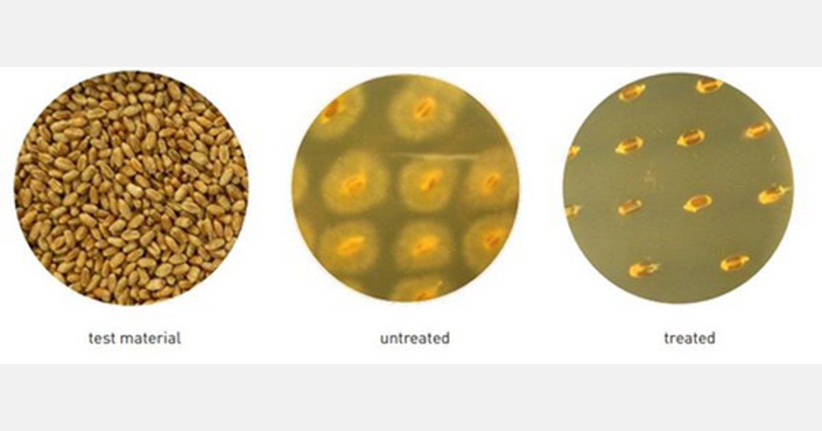 Chemical-free seed treatment with Plasma Activated Water