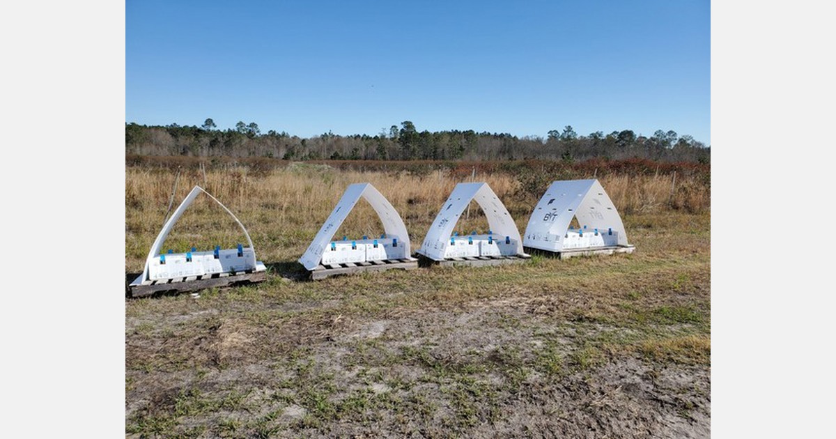 "Our BVT system increased the blueberry yield of Georgian grower"