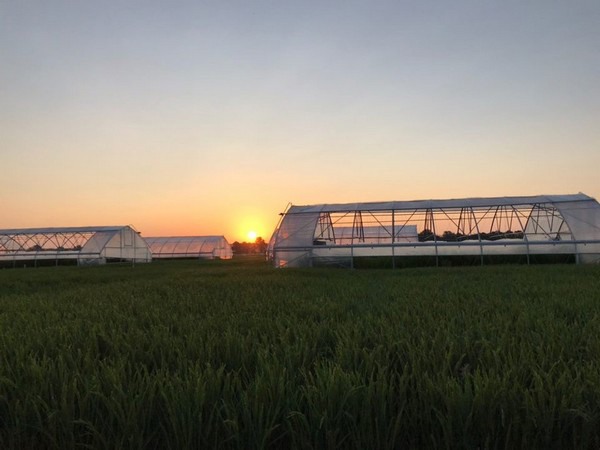 Night-time heat stress: “Research will pave the way for tolerant ...