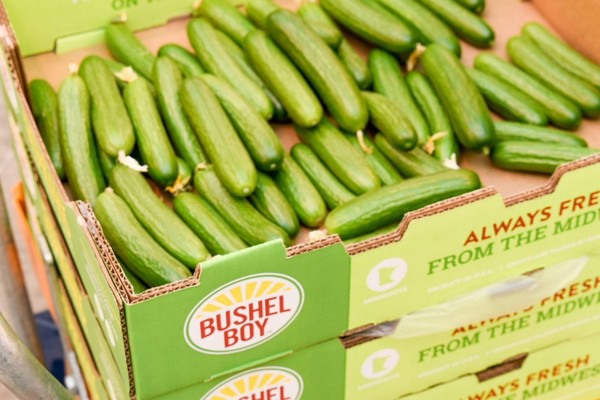 Bushel Boy Farms to cultivate year-round, greenhouse cucumbers in Midwest