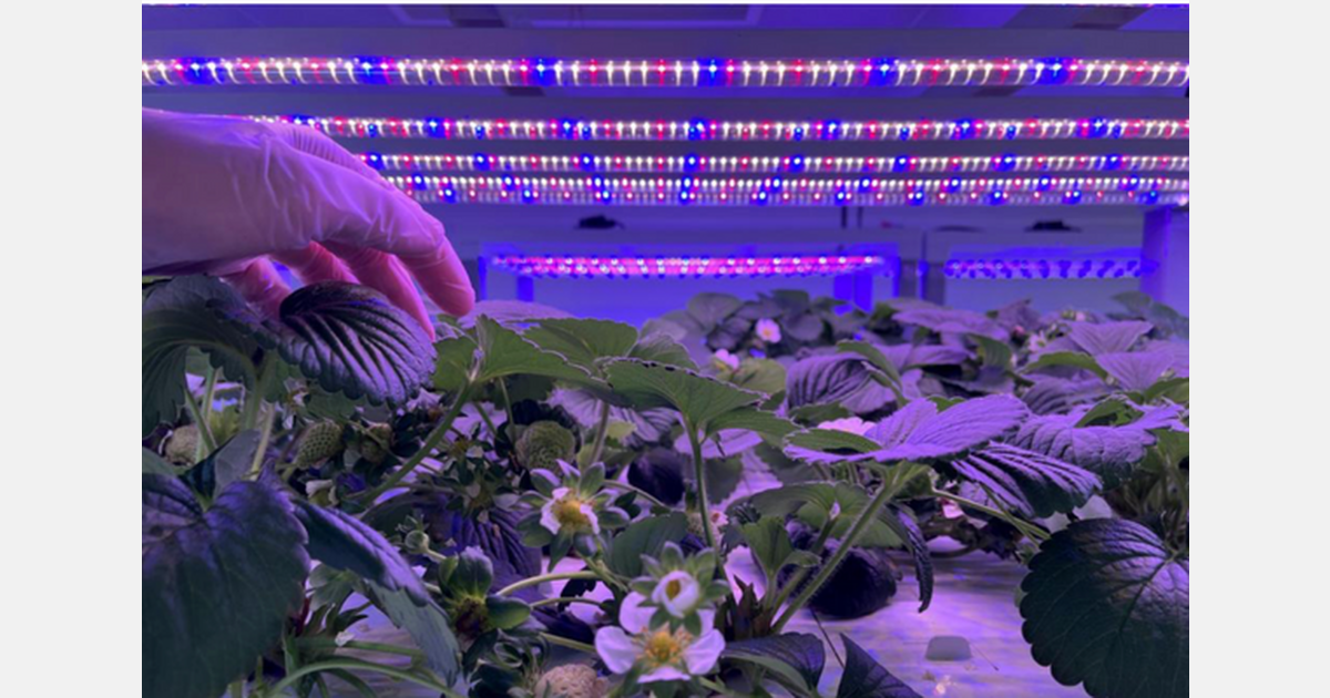 "More than 100 full spectrum designs for plants in wider range of ...