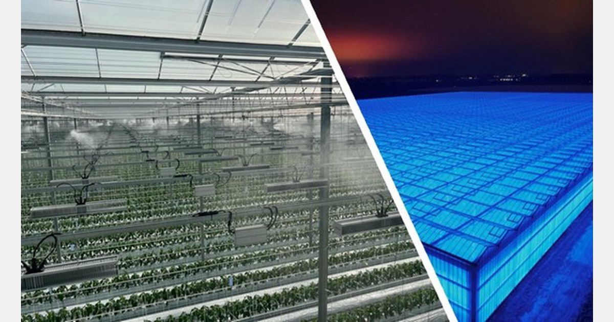 “Greenhouse humidity plays a vital role in plant and root health"