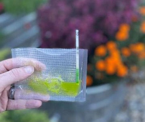 Agdia releases ImmunoStrip for detection of Alfalfa mosaic virus