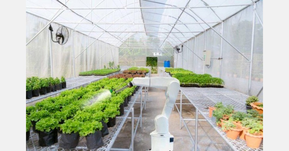 Thunder Bay biotech company wins Northern Ontario Innovation Challenge