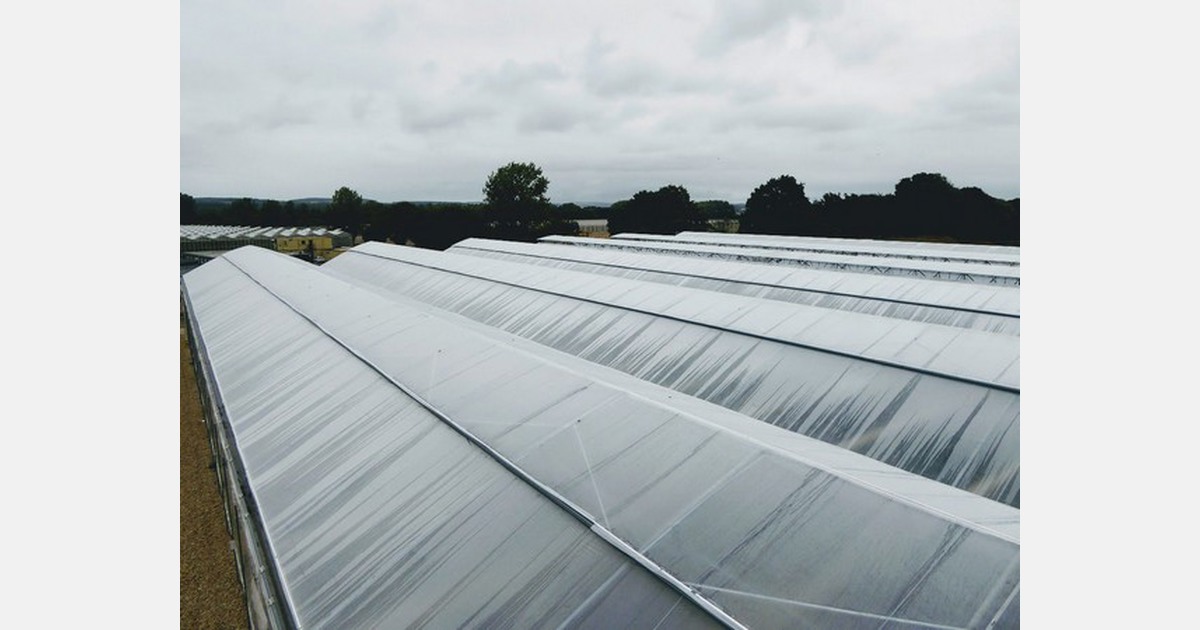 Growing crops with ETFE as glass replacement