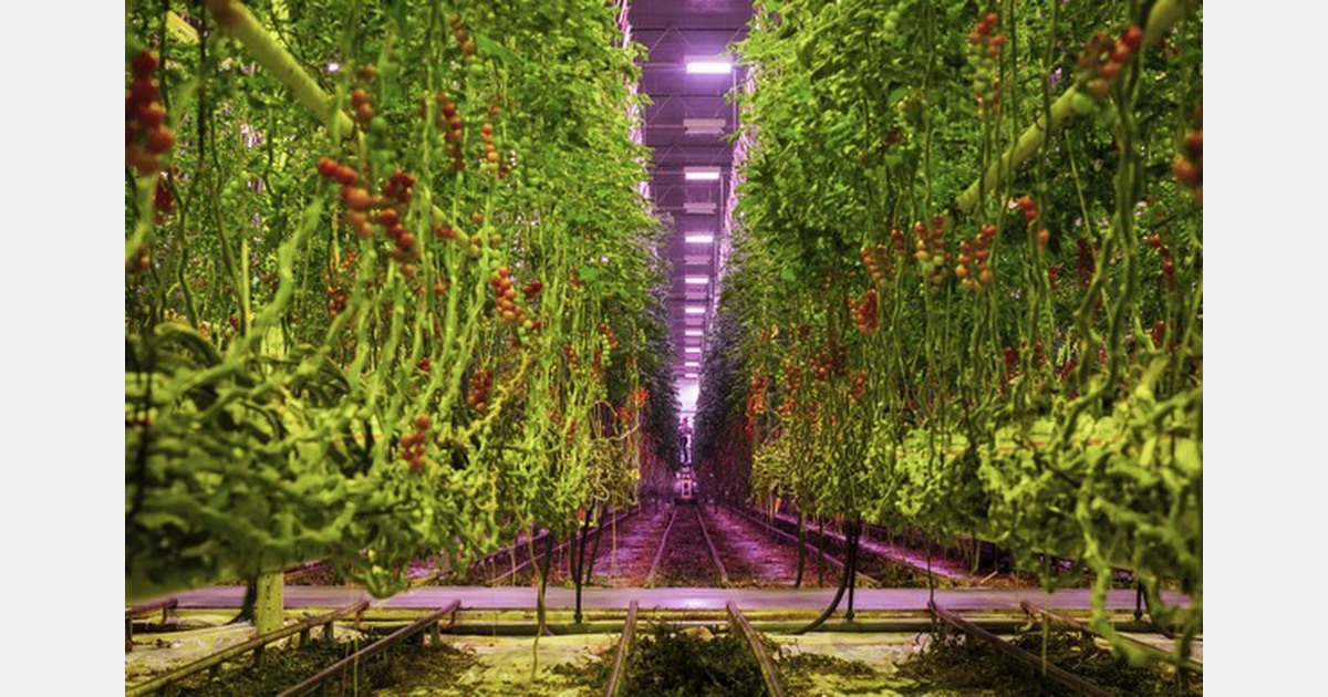 Food Autonomy co-developed a toplight to reduce lighting and heating costs