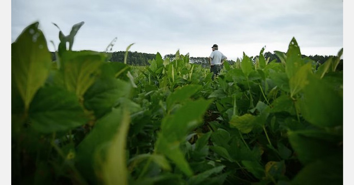 New sustainable fertilizer production research collaboration underway