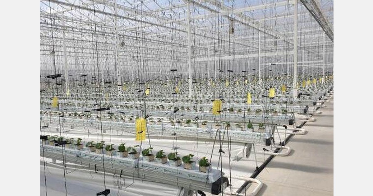 South Korean government encouraging young farmers and smart agriculture