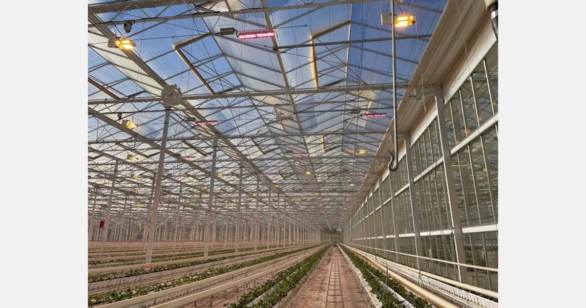 How are Hort Americas and Current committed to building a stronger ...