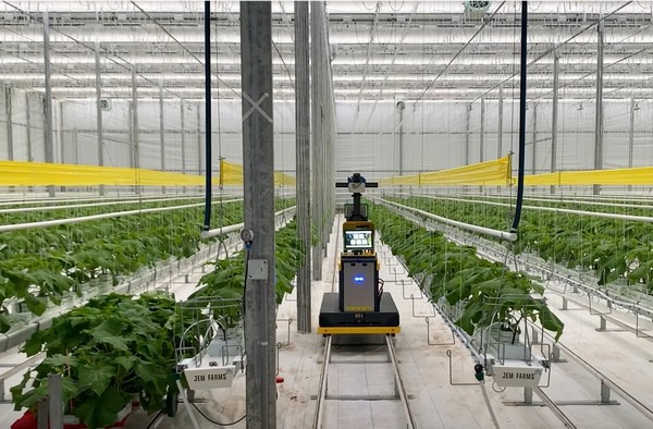 Otto The Ipm Scouting And Yield Forecasting Greenhouse Robot