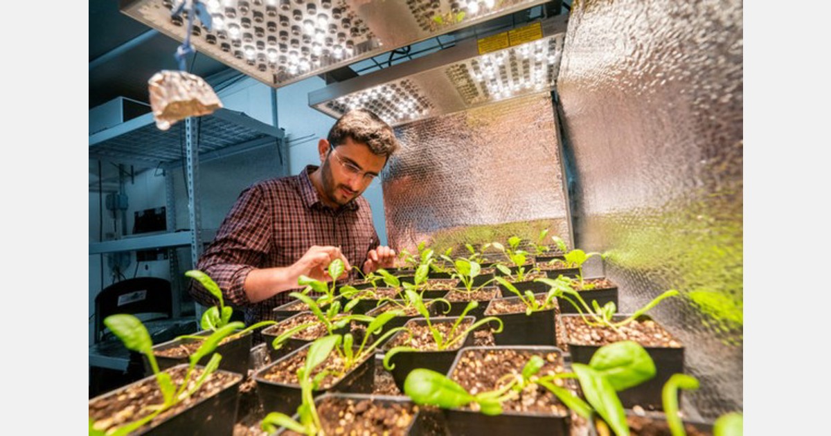 Texas A&M AgriLife seeks input on controlled environment agriculture