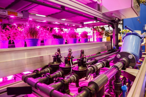 "Focus on the future of horticulture" defining theme of IPM Essen