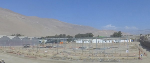 J. Huete International builds high-tech greenhouse for seed research in ...