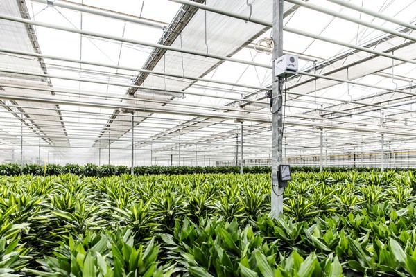 ‘Better insight into insect populations with the PATS-C system’