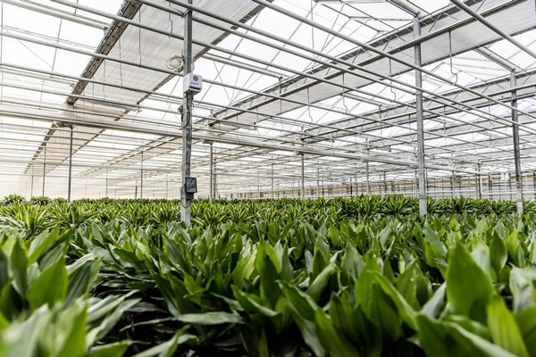 ‘Better insight into insect populations with the PATS-C system’