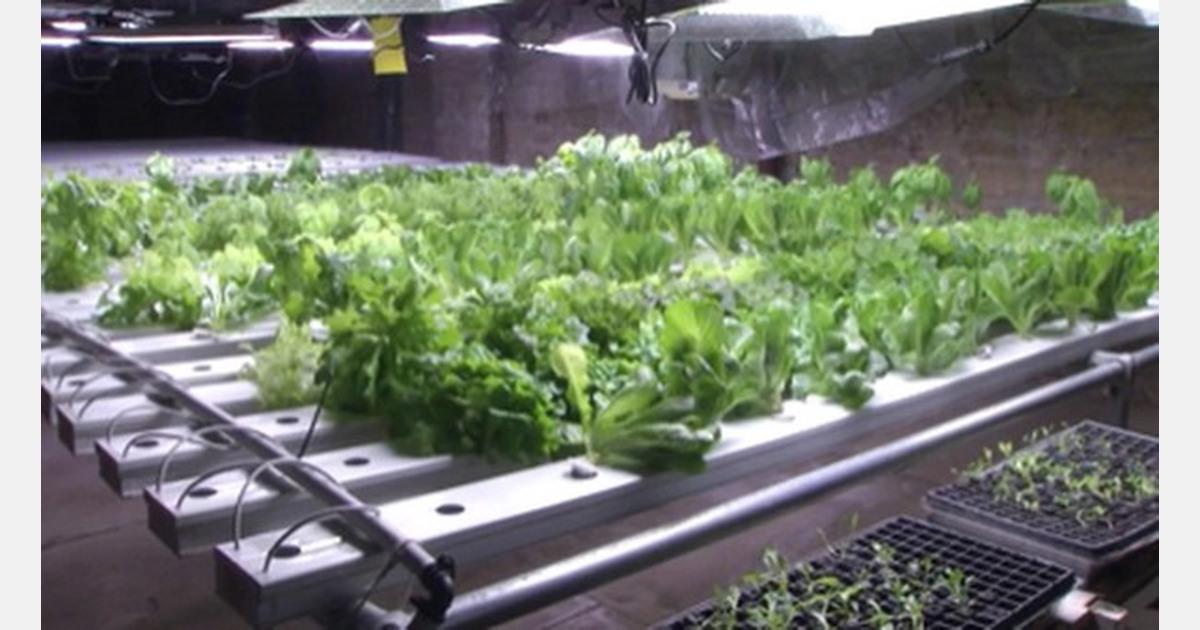 US (IA): A hydroponics system will help address food deserts in Dubuque