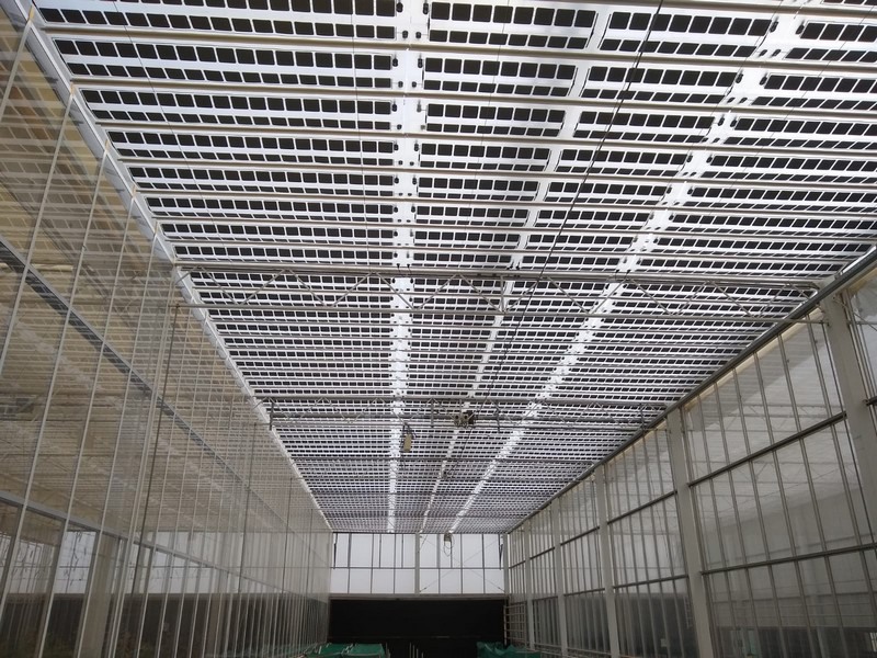 Photovoltaic energy screen converts sunlight into electricity