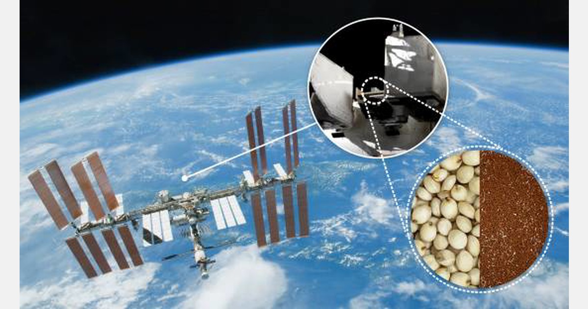 Seeds undergo radiation in space to explore biology and genetics for ...