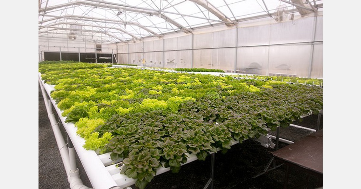 US (KY): Kennesaw State Field Station is a living laboratory