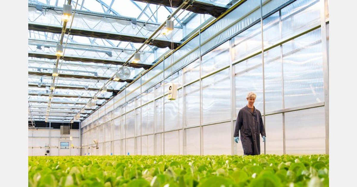 Indoor grower Local Bounti unveils salad kits with chicken